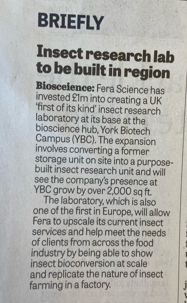 A Year in Review: 2022, a year to celebrate! - YBC